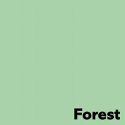 Popierius Image Coloraction A3 80g 500l. Forest / Pastel Green - Biuro ...